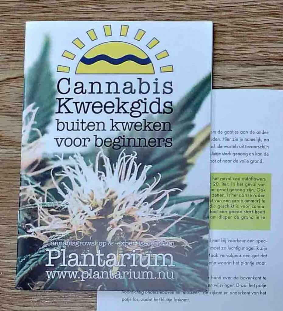 Podcast: Het kweken van buitenwiet, denk om een goede voorbereiding!