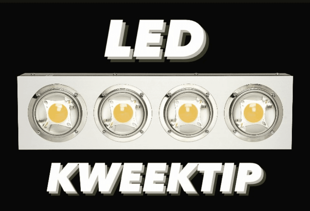 LED KWEEKTIP VPD - vapour pressure deficit - Plantarium